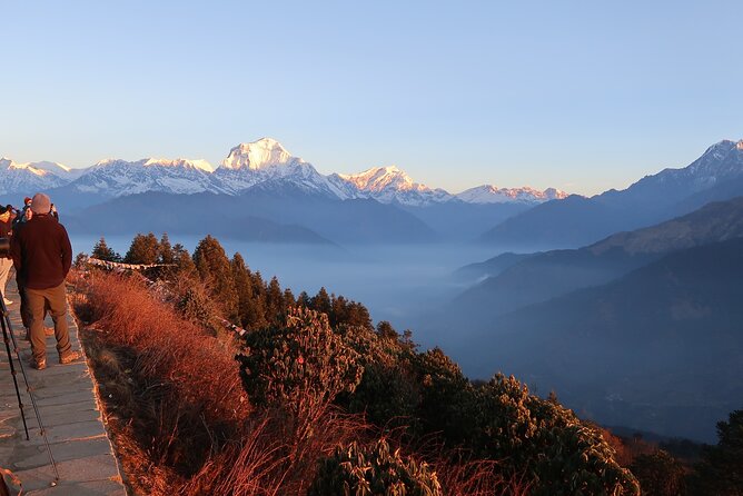 4 Days Poon Hill Trek from Pokhara - Authentic Experiences and Tips