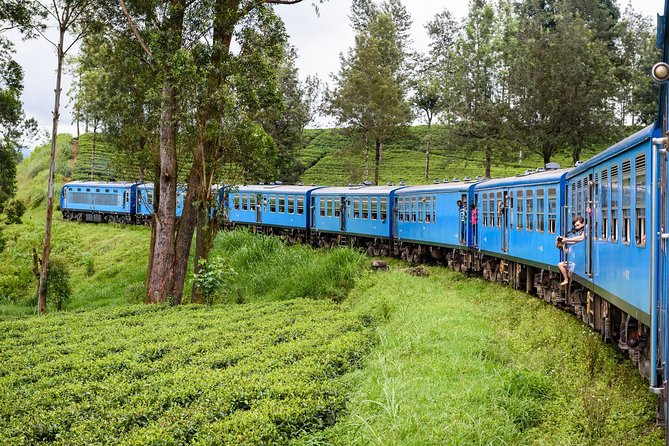4 Days Tour to Kandy, Sigiriya & Nuwara Eliya - Practical Insights and What You Can Expect