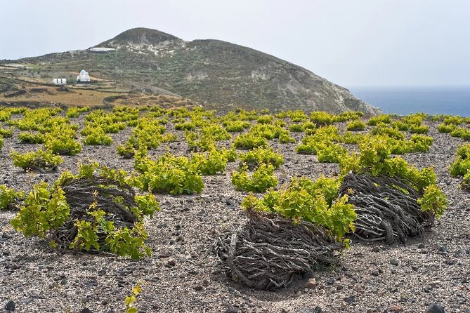 4 Hours Private Custom Tour in Santorini - Transportation and Comfort