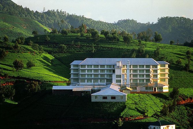 6 Day Round Tour in Sri Lanka With Chauffeur - FAQ