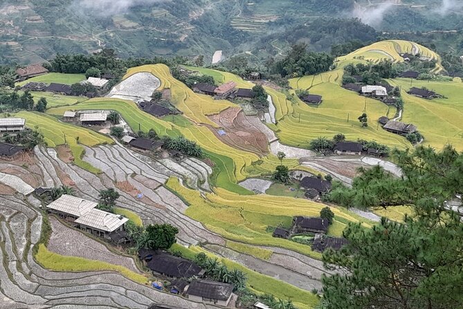 7 Days Dong Van Ha Giang Private Loop Tour with Wellness Programs - Day 5: Traditional Crafts and Historic Sites