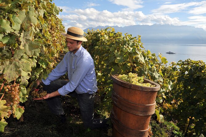 8 Days Private Authentic Sicily Tour - Who Would Enjoy This Tour?