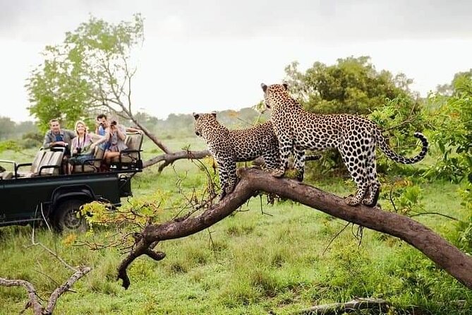8 Days Private Guided Tour in Sri Lanka with accommodation (BB) - Who will love this tour?