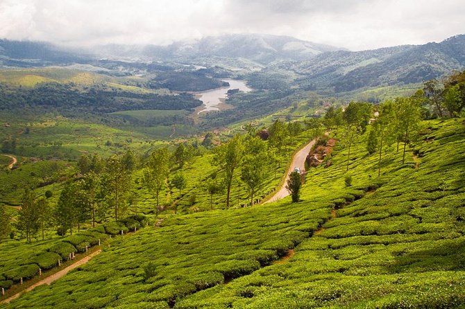 9 Days Private Exotic Kerala Tour - Wildlife & Nature: Thekkady & Periyar