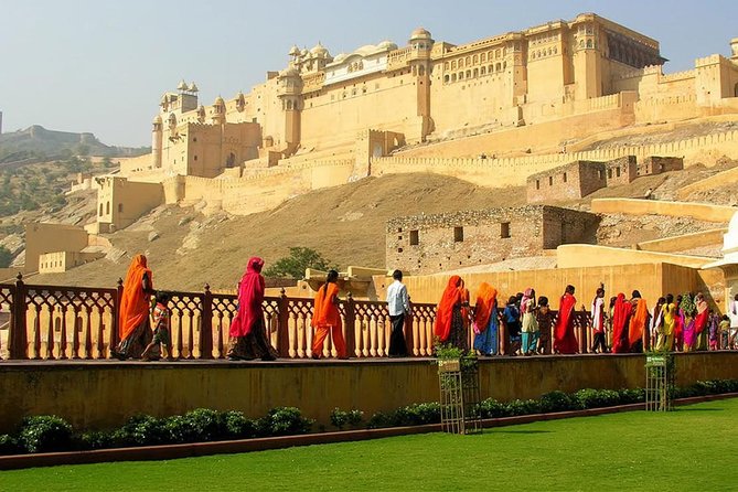 A day with DD - See Jaipur like a local with a local. - The Sum Up