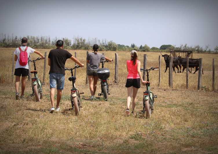 Aigues Mortes: safari en vélo - Ebike tour in Camargue - FAQ
