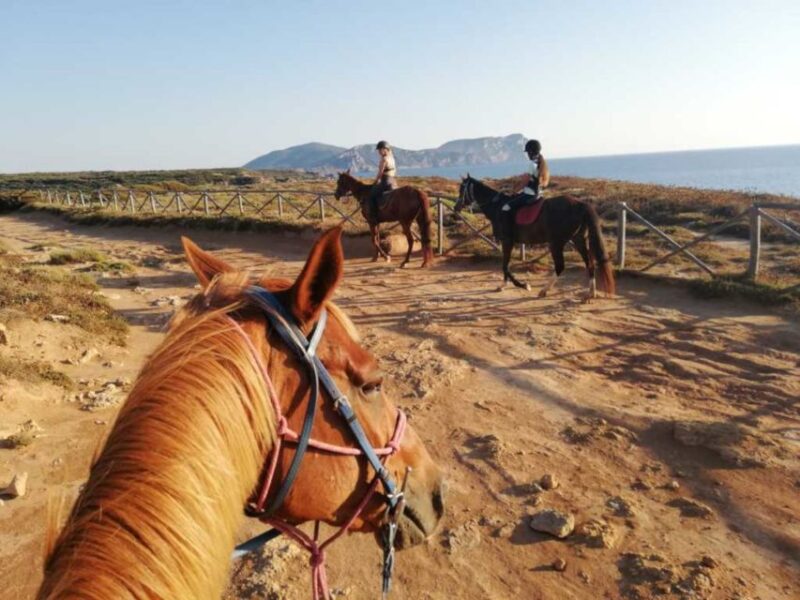 Alghero: Guided Horseback Ride at Lake Baratz & Porto Ferro - Authentic Feedback from Travelers