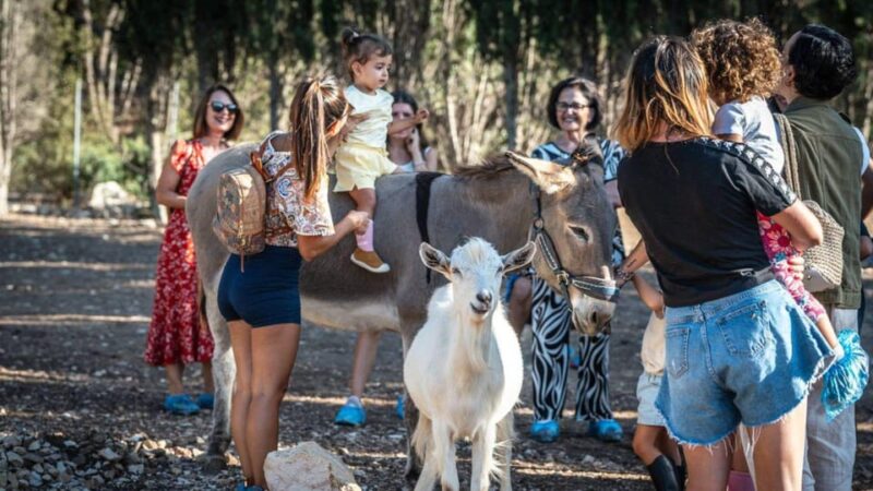 Alghero: visit an animal shelter in Olmedo - Detailed Breakdown of the Experience