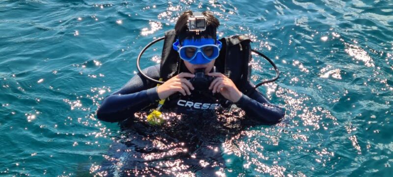 Alicante: Denia Beginners Scuba Diving Experience - What Makes This Experience Stand Out