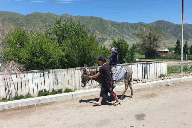 Almaty Region 3 Days Tour from Almaty - The Sum Up: Who Is This Tour Perfect For?