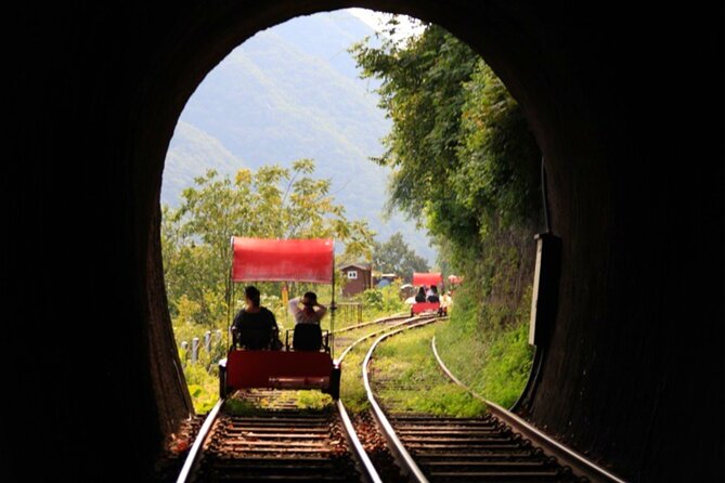 Alpaca World and Nami Island with Gangchon Rail Bike Tour - Considerations for Travelers