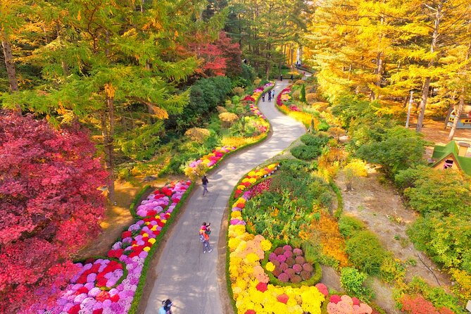 Alpaca World Tour with Nami Island & opt Railbike or Garden/Park - The Sum Up: Is This Tour Worth It?