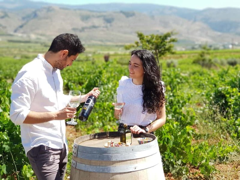 Alpujarra of Almería: Organic Wine tour and local aperitif - The Practicalities: What You Need to Know