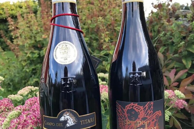 Amarone Wine Tasting Tour. Visit Verona. From Venice - Verona’s Historic Gems