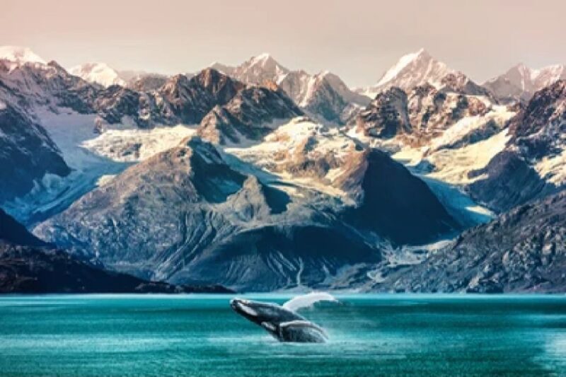 Anchorage: Kenai Fjords & Denali National Park 5 Day Tour - Authentic Experiences and Real Reviews