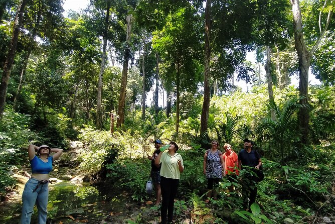 Ancient Lava Stream Trek through dense Tropical forest. - Who Should Consider This Tour?