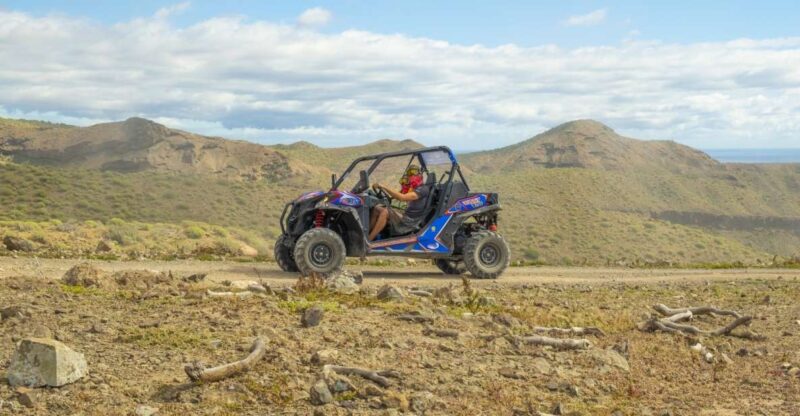 Anfi beach: Guided Buggy Tour. - Authentic Experiences and Authenticity