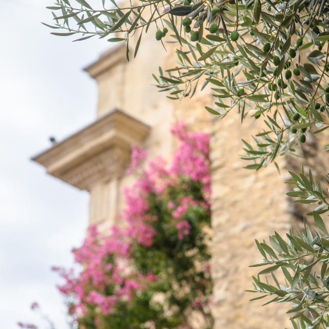 Antibes: Express Walk with a Local in 60 minutes - In-Depth: What the 60-Minute Tour Looks Like