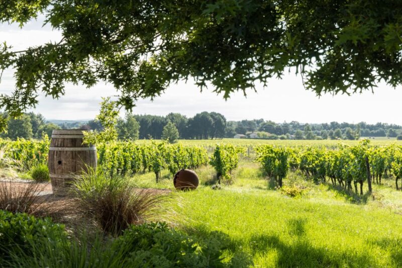 At the gates of Toulouse: Gourmet Tour - The Value and Practicalities