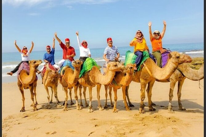 Authentic Private Tangier Tour from Marbella Camel Ride & Lunch - Practical Details and Tips