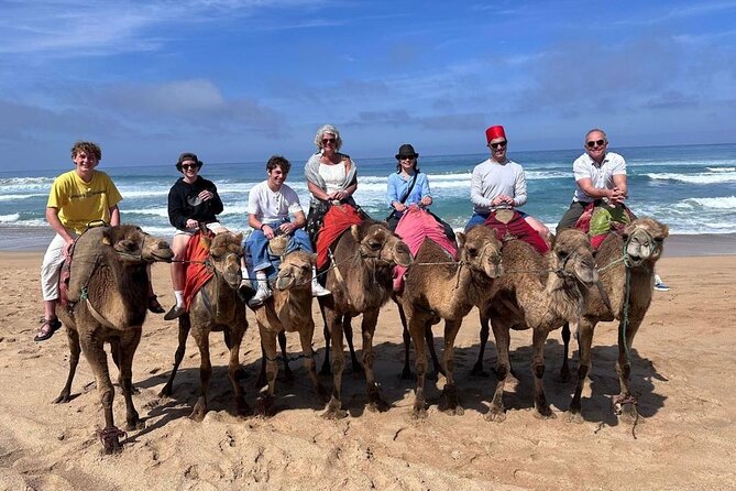 Authentic Private Tangier Tour from Seville Camel Ride & Lunch - The Sum Up