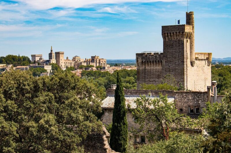 Avignon: Private Walking Tour  Discover History & Heritage - How Does It Compare to Other Options?