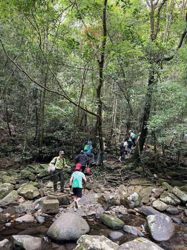Bach Ma National Park Full-Day Group Tour From Hue City - Why This Tour Makes Sense for You