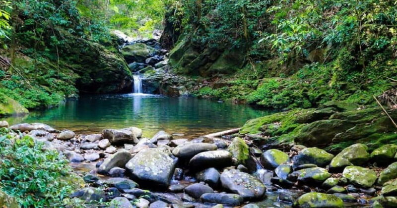 Bach Ma National Park Trekking Tour : Hoi An / Da Nang / Hue - What to Bring and What to Consider