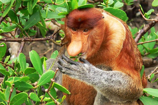 Bako National Park - Frequently Asked Questions