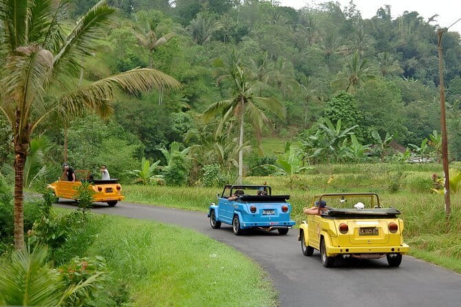 Bali: Bedugul Temple, Banyumala Waterfall, UNESCO Rice Terrace - Value for Money