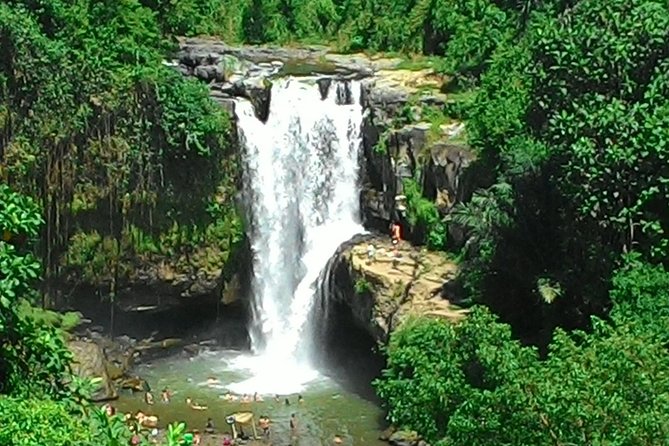 Bali Hindu temple, Rice terrace, Waterfall -All Inclusive - What Travelers Say