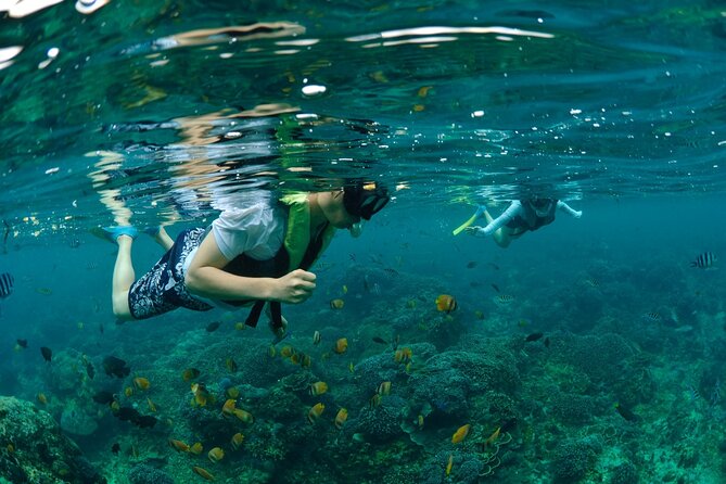 Bali Lembongan Island Beach Club Day Trip - Who Should Consider This Tour?