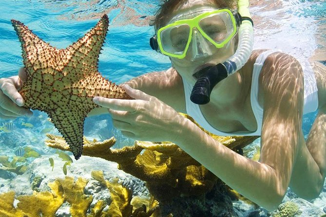 Bali Menjangan Island Snorkeling Day Tour - Practical Considerations