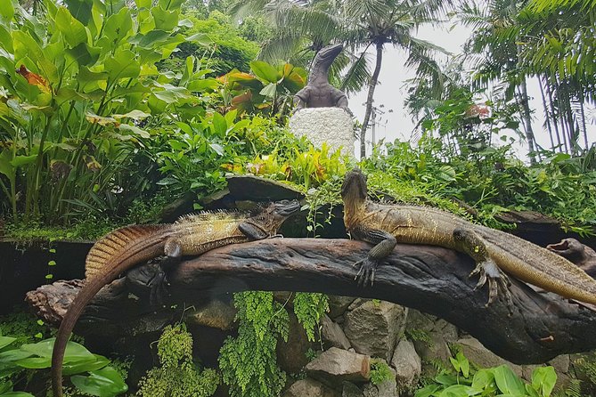 Bali Reptile Park Entrance Ticket - Frequently Asked Questions