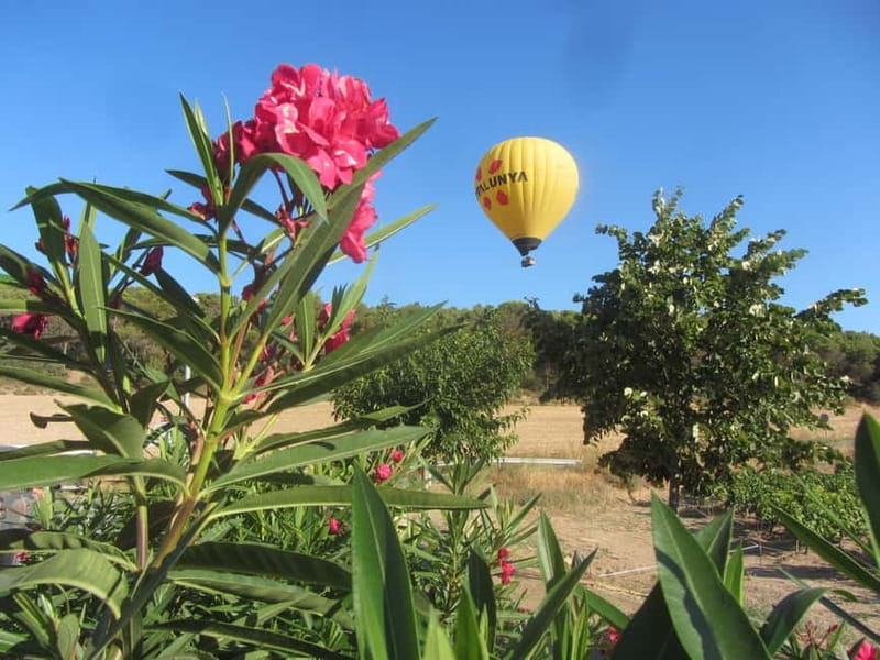 Balloon flight: panoramic view of Montserrat and Transport from Barcelona - Value and Cost Analysis