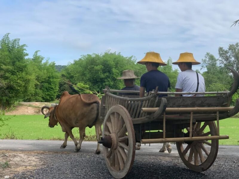 Bangkok: Authentic Thai Cooking Class and Local Lifestyle - Practical Tips for Participants