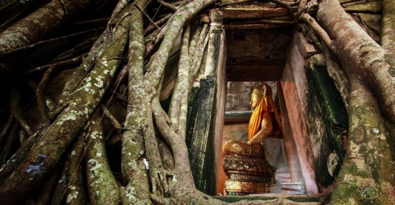 Bangkok: Dragon Temple, Roots Temple and Amphawa in spanish - What Makes This Tour Stand Out?