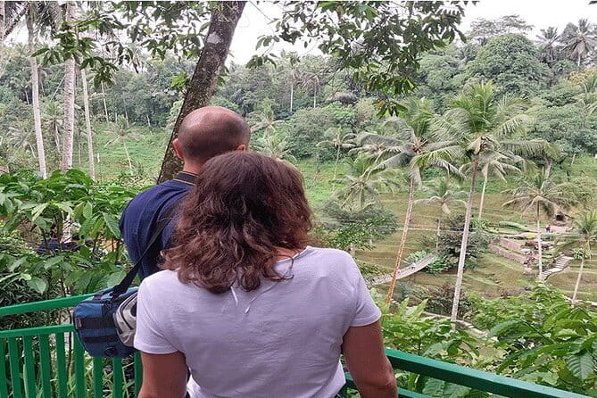 Banyumala Waterfall, Jatiluwih, Ulun Danu and Tanah Lot tours - FAQ
