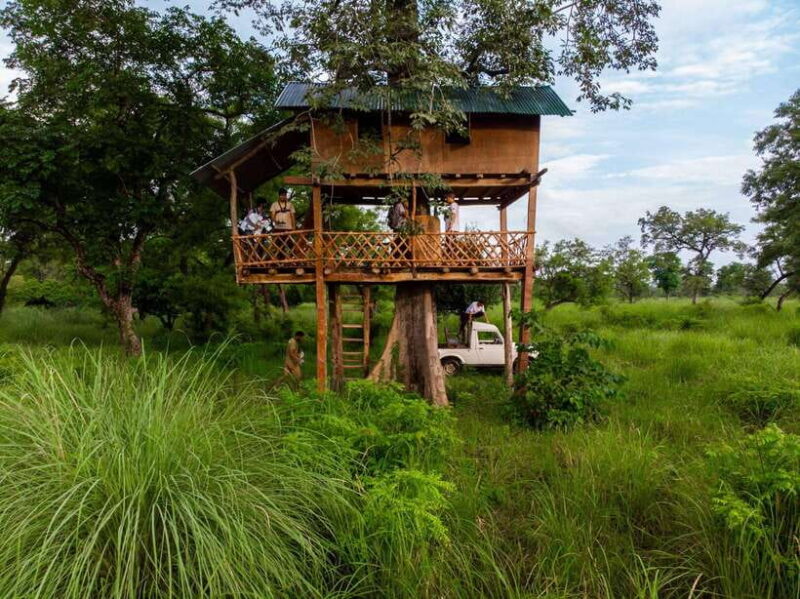 Bardiya National Park: Treehouse Stay with Wildlife Safari - The Wildlife Safari Itinerary