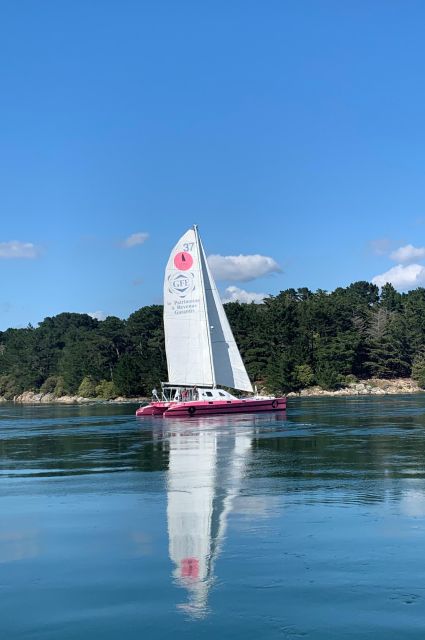 Bay of Quiberon or Morbihan gulf: Evening 2 hours navigation - Why This Tour Offers Excellent Value