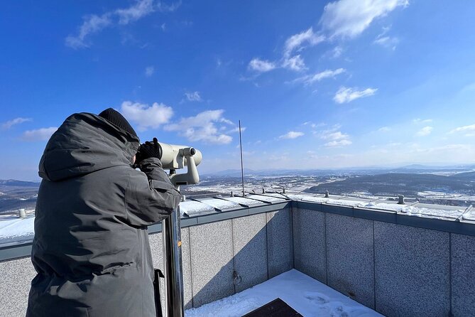 Best 2 Days Guided DMZ and Seoul City Tours from Seoul - Value and Cost Analysis