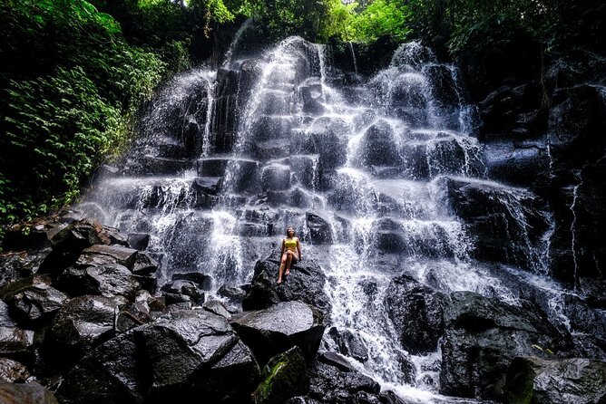 Best of Bali - Ubud Tour All-Inclusive Private Tour - Who Will Appreciate This Tour?