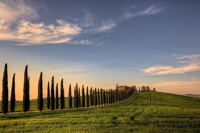 Best of Tuscany: Full Day Private Tour to Val D'Orcia - Wrapping It Up