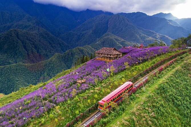 Best Sapa 3 Days 2 Nights with Fansipan Mountain - Stay at Hotel - Who Will Enjoy This Tour?