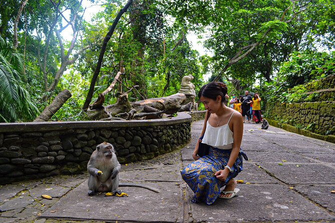Best Ubud Highlights - Private Day Tour - Pricing and Value