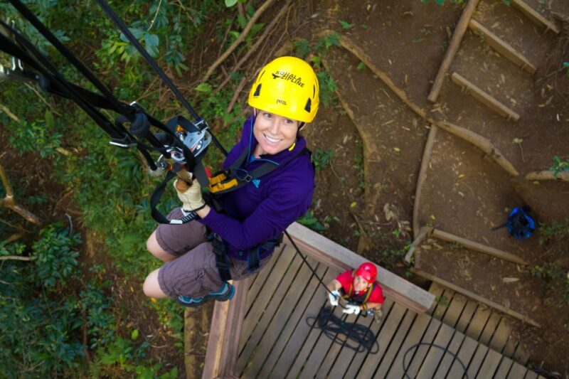Big Island: 3-Hour Kohala Canopy Zipline Adventure - What to Expect During the Tour