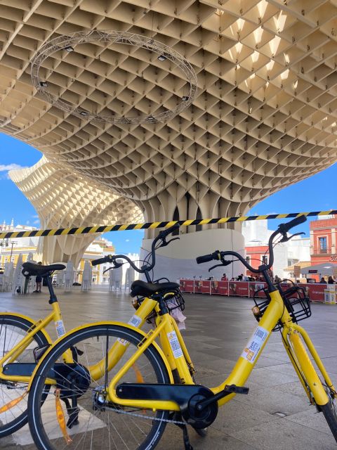 Bike rental 1 day - What to Know Before You Go