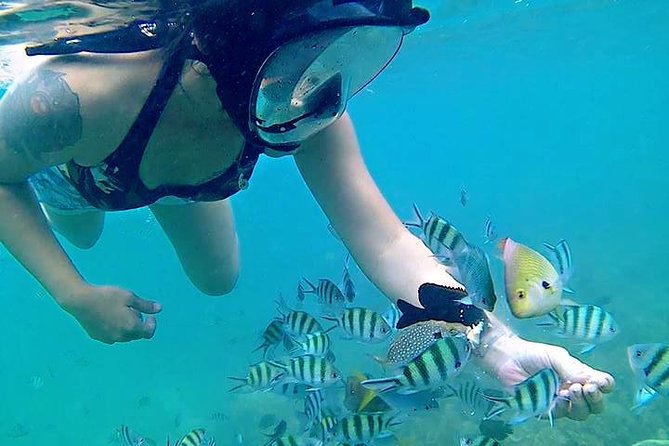 Bintan Snorkeling Tour - Final Thoughts