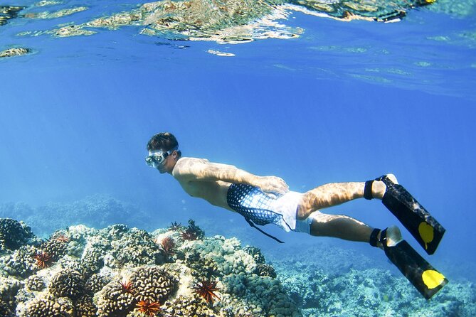 Blue Lagoon Snorkeling and Lunch with Private Transfer - FAQ