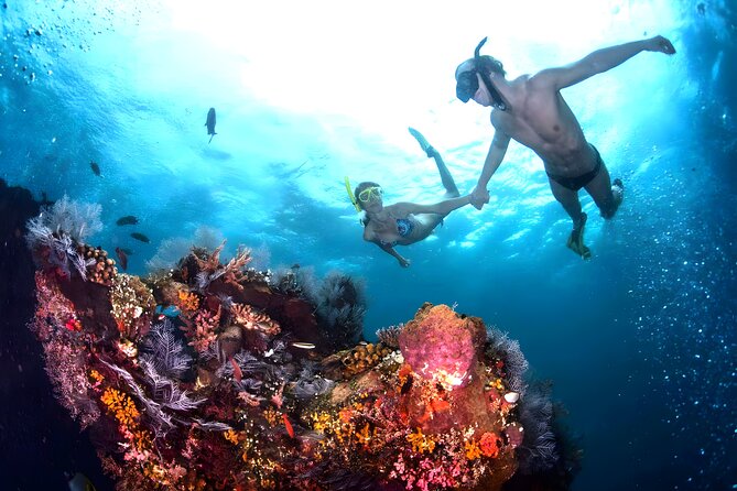 Blue Lagoon Snorkeling - Bali Best Snorkeling Site - How the Tour Adds Value